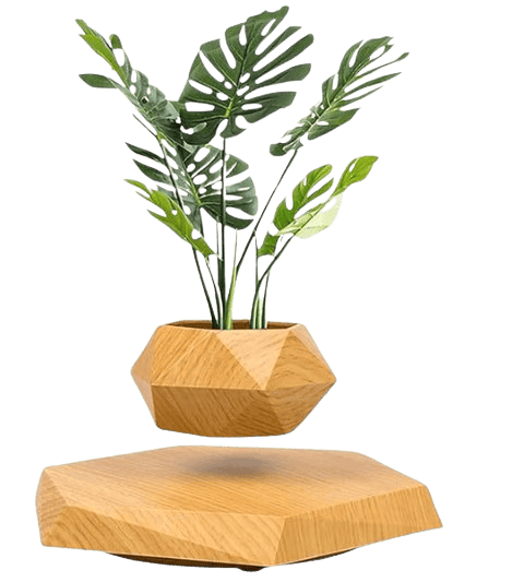 Magnetic Levitating Flower Pot